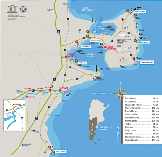 AVISTAJE DE BALLENAS EN ARGENTINA | Andén 27