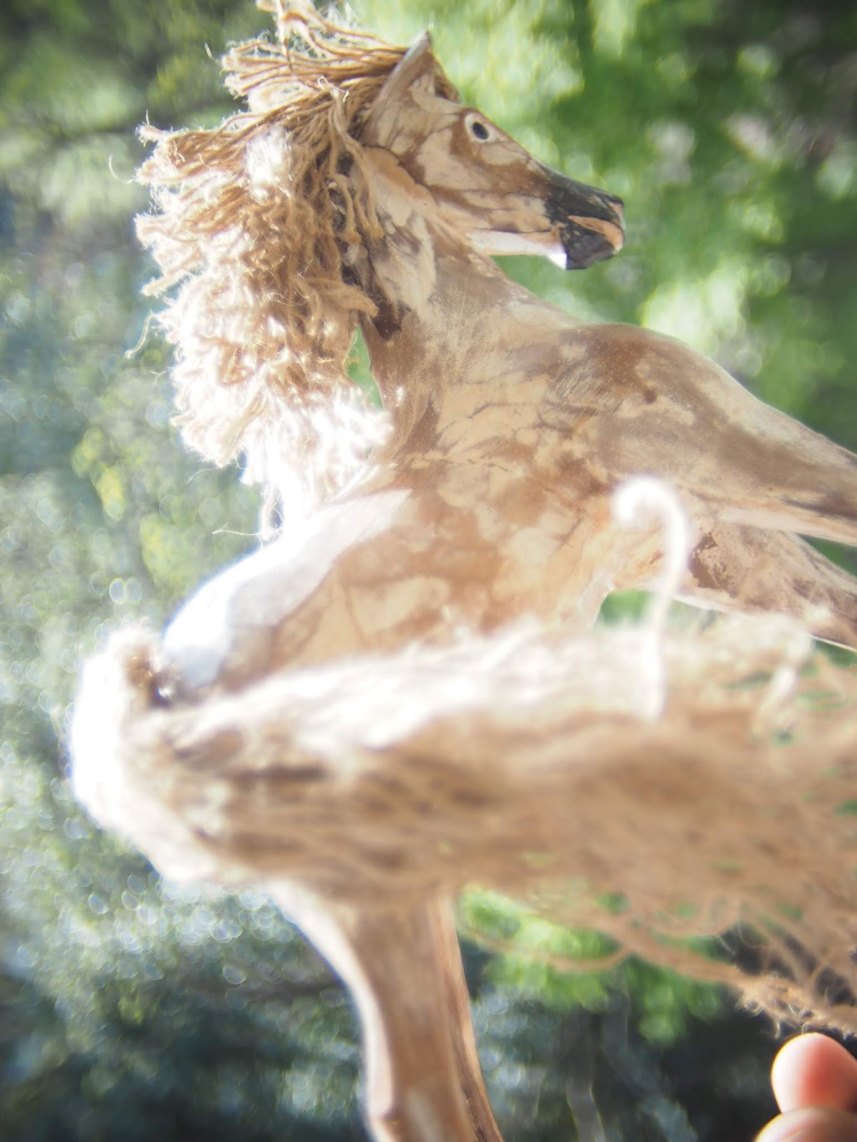 M42 MOUNT SPIRAL: ELGEET CINE NAVITAR(GOLDEN NAVITAR) Wide Angle 12mm F1.2