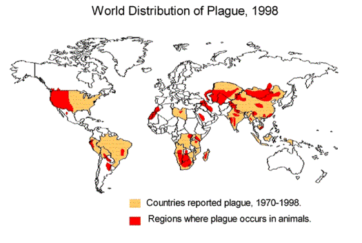 Infection Landscapes: Plague