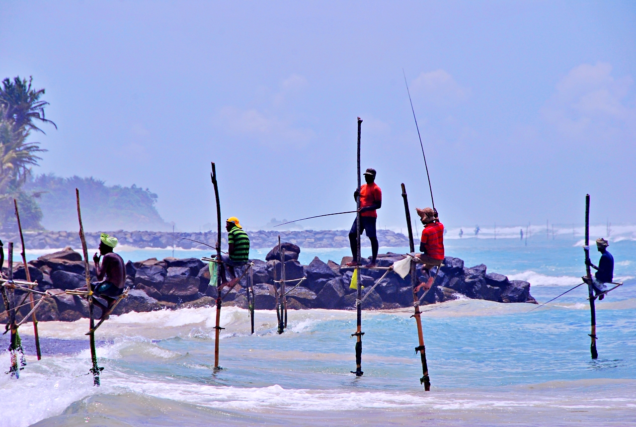 Stilt Fishing in Unawatuna | Sri Lanka - Nomadic Experiences