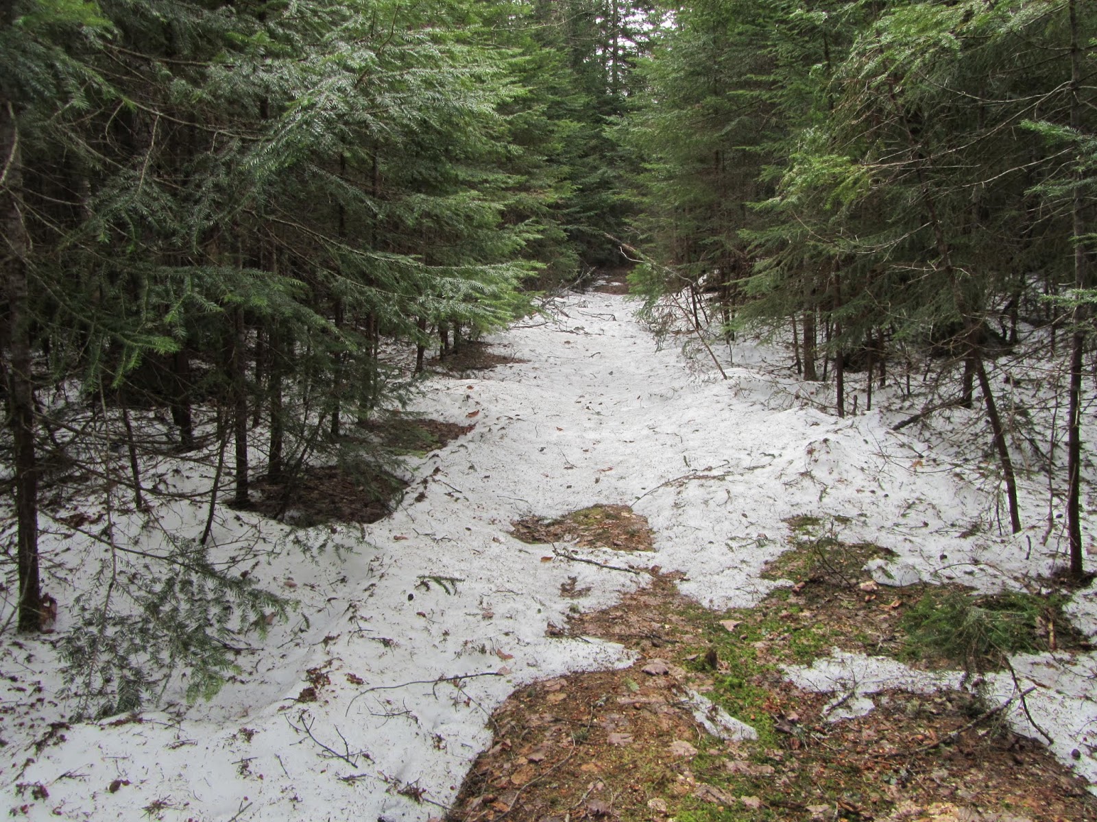 Tomcat's Outdoor Adventures: Backpacking the Seward Range- Cold River Loop