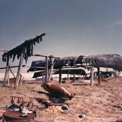 About Me, Myself, & I.: Shishmaref LifeStyle!