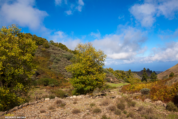 Samuel Mederos: Las Eras