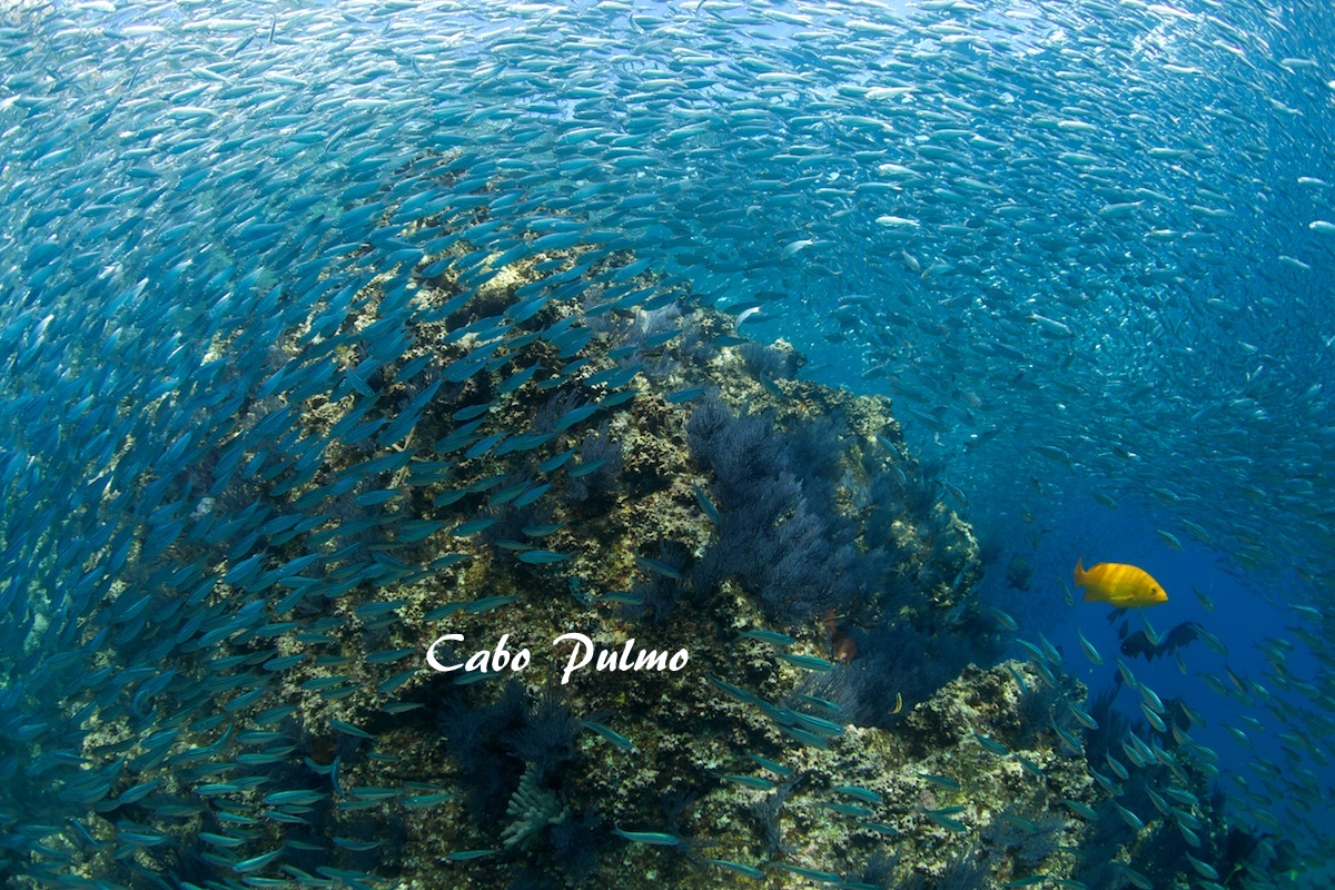 Parque Nacional Cabo Pulmo (México)