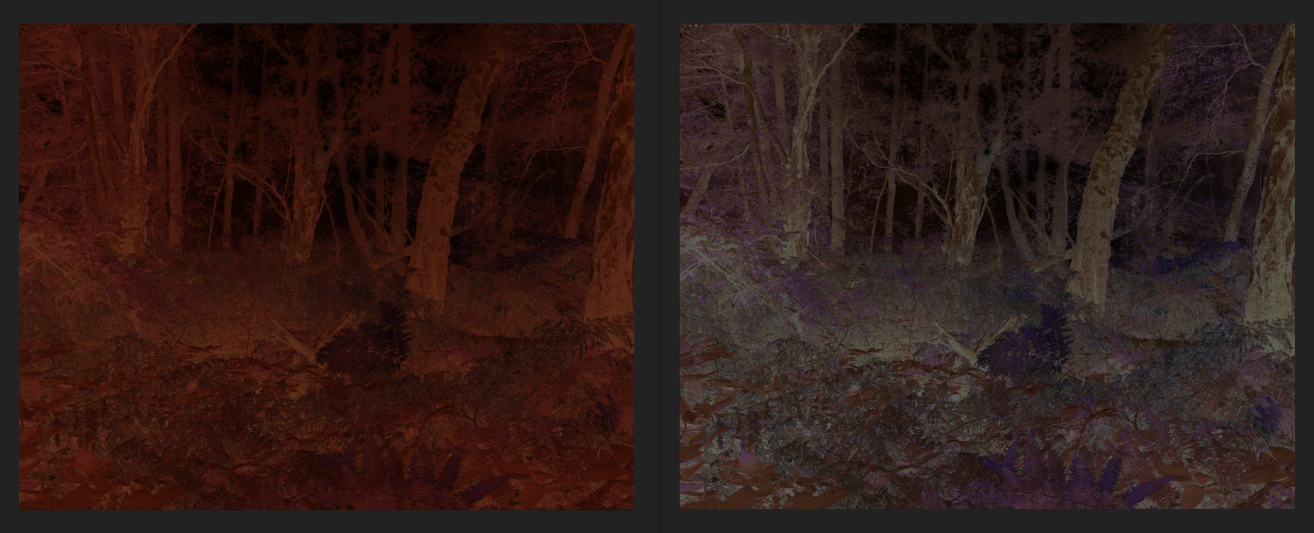 Revisiting Color Negative Scanning and Color Spaces