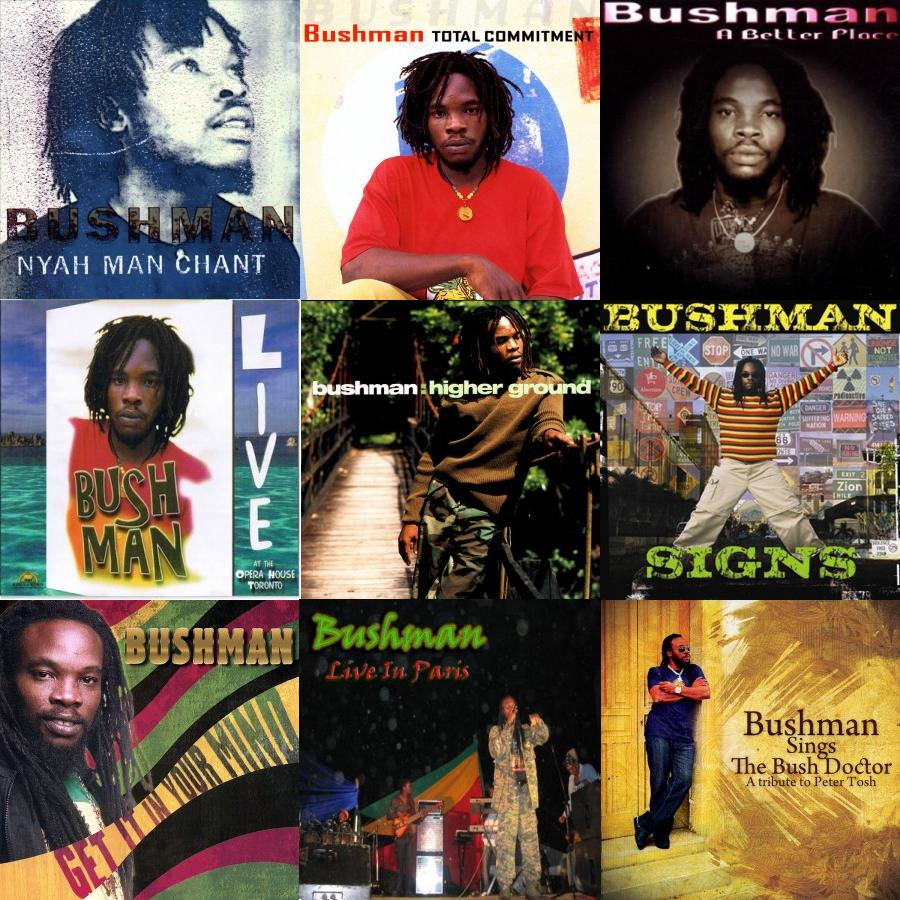 Achis' Reggae Blog: Discography: Bushman