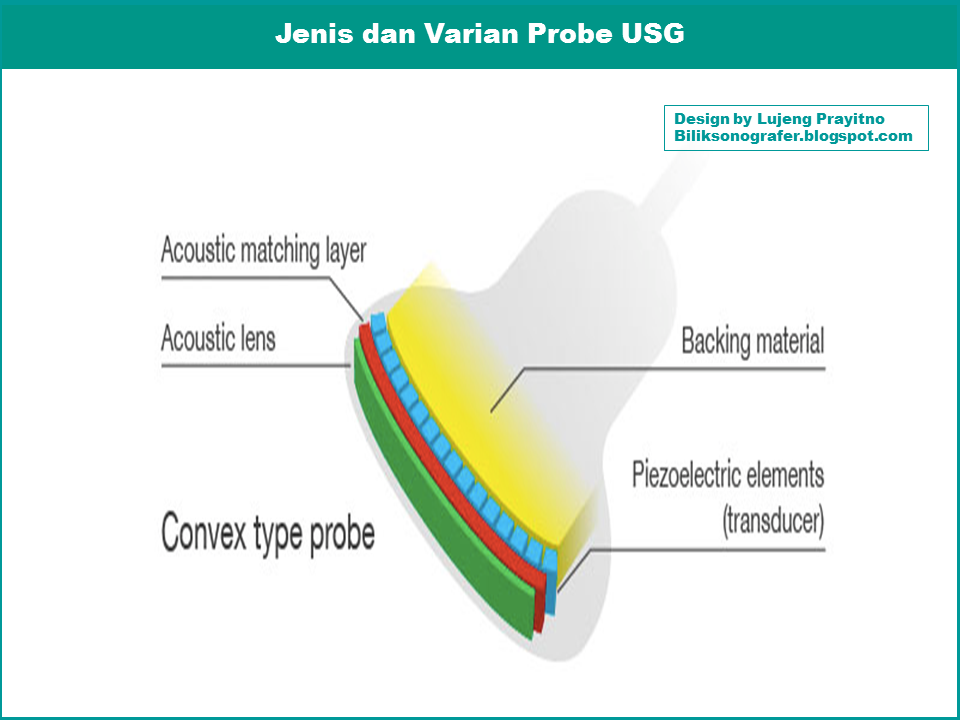 Jenis dan fungsi Probe USG