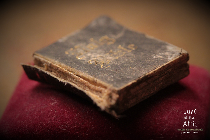 Rust and Steel: Jane's attic update No XLIX: An old bible.