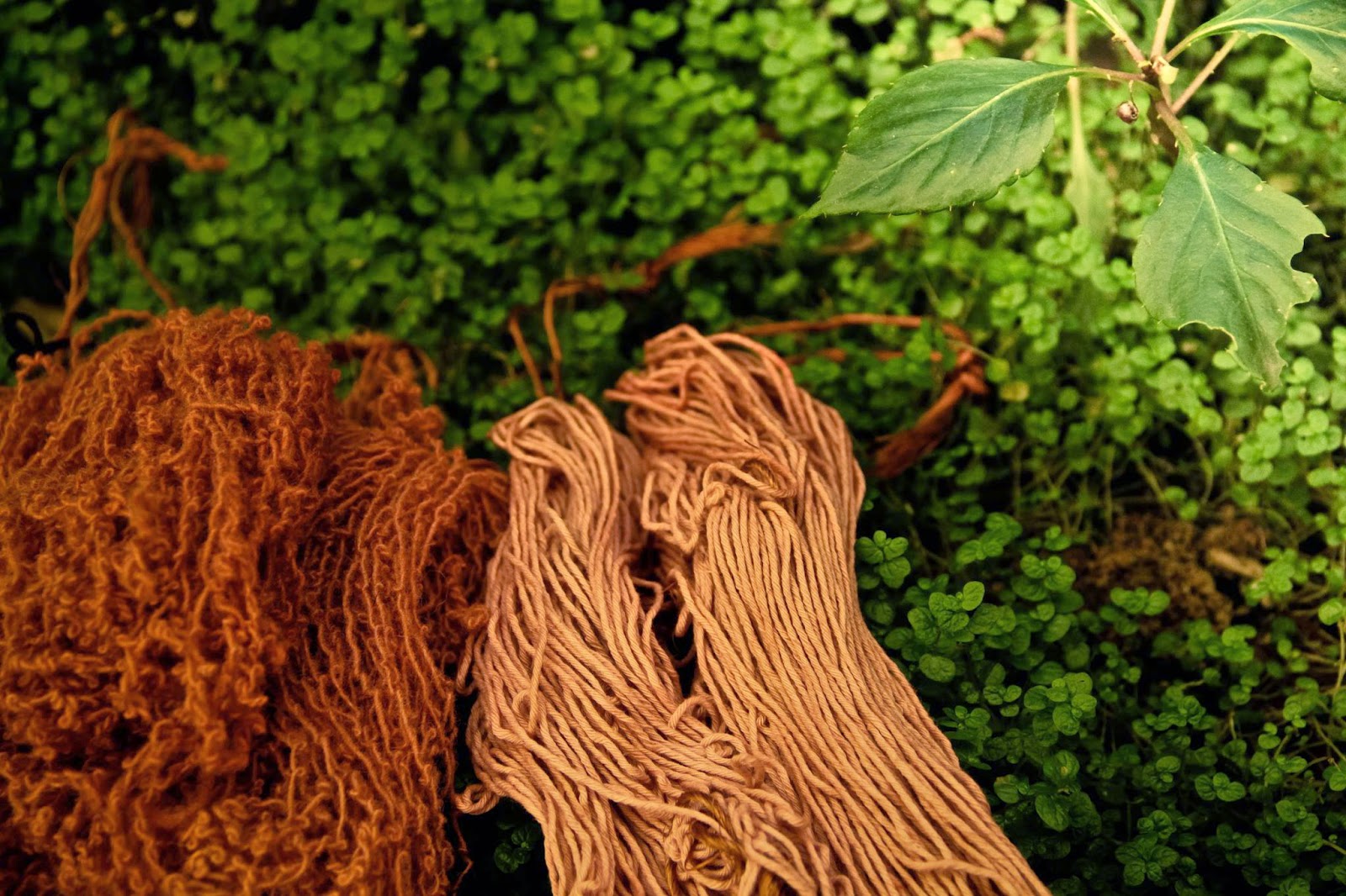 TOILNAMIQUILIZ: Tzotzomanahualli