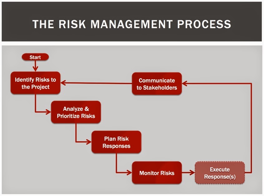 Project Management For Engineers...: The Risk Management Process