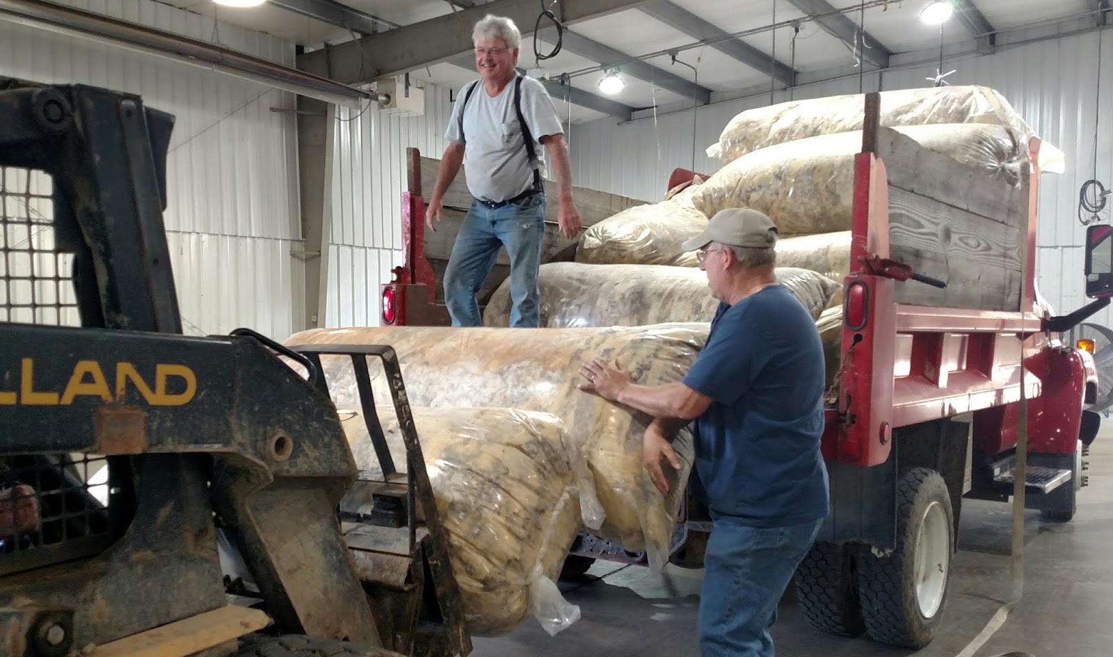 Wild Rose Farm: To The Wool Pool!