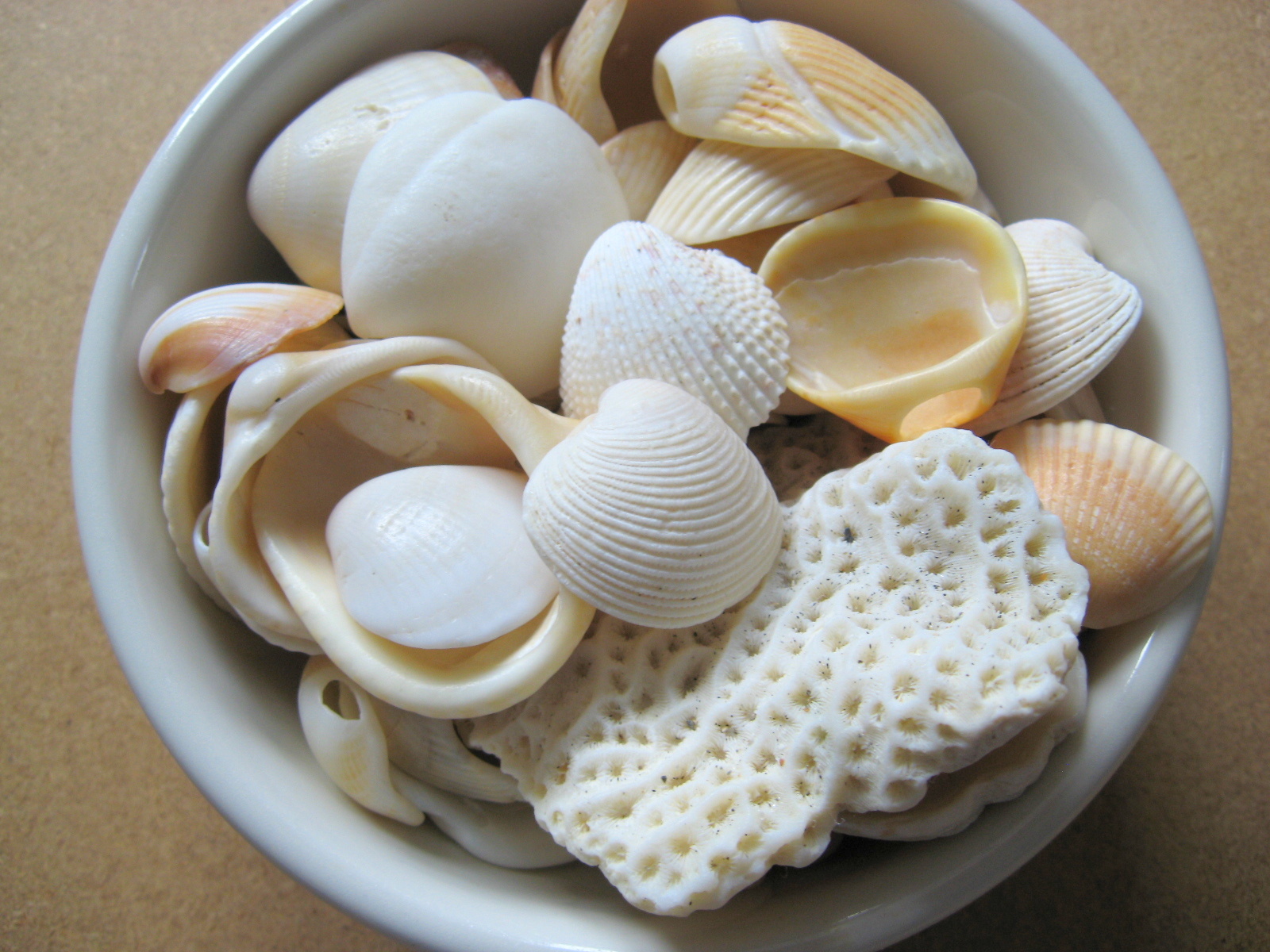 joy for grace: Bread, Snow, and Other Snapshots