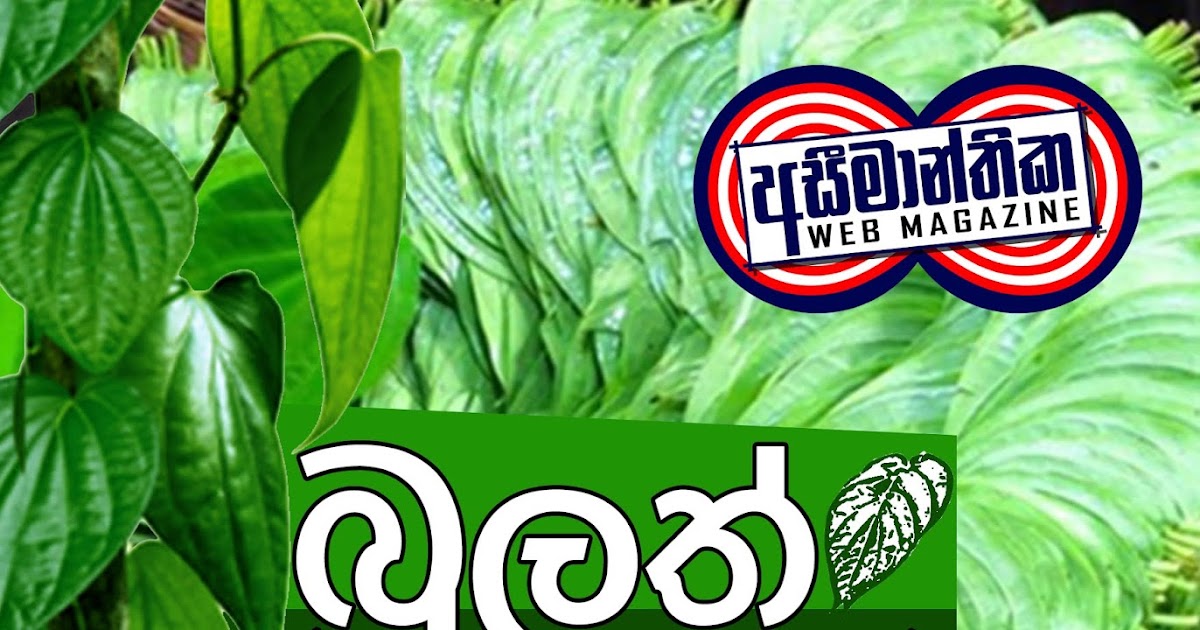 අසීමාන්තික Web Magazine
