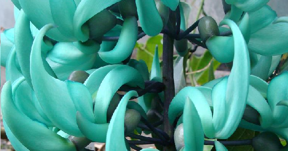 IES Valle de Leiva - Ciencias jmcm