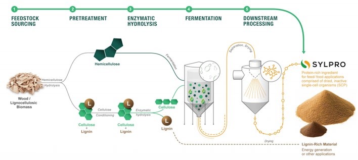 Arbiom takes important step in the scaling-up of its Wood-to-Food technology