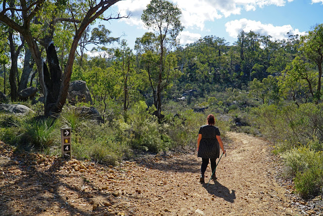 FR Berry Walk Trail (FR Berry Reserve) ~ The Long Way's Better