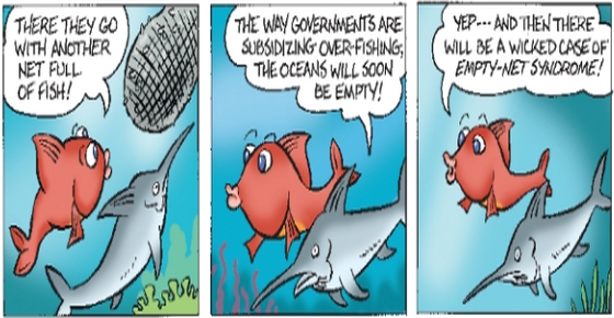 Aquaculture As The Solution To Over-fishing: Over-fishing