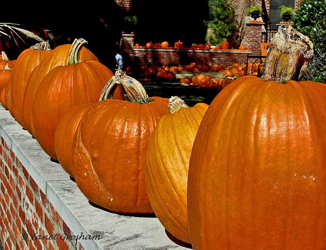 Selma, Ala. Daily Photo: The Pumpkins' Gate