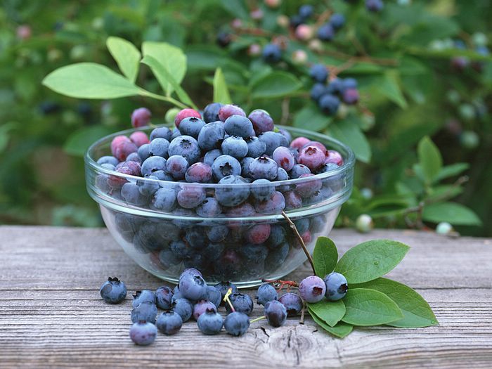 Blueberry - Fruits And Vegetables