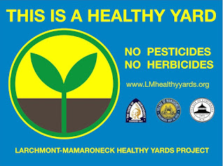 Love 'Em And Leave 'Em: Mamaroneck Joins Larchmont to Promote "Healthy ...