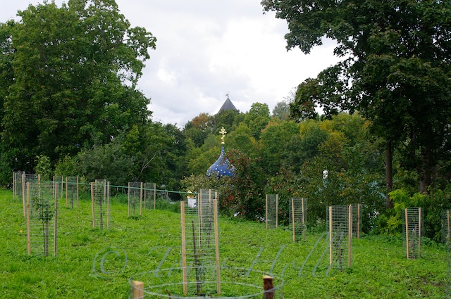 Võromaaveere: Petseri klooster