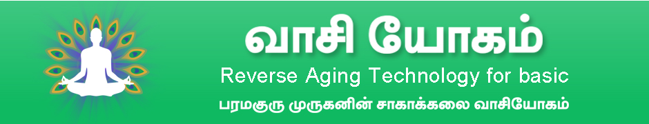 VasiYogam : சித்தர்களின் பாடல்களுக்கு பொருள் கூறுவது எப்படி?