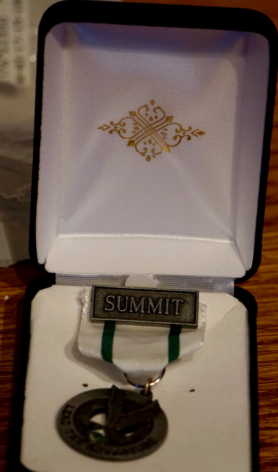 Scout Executive - A Scouting Journey