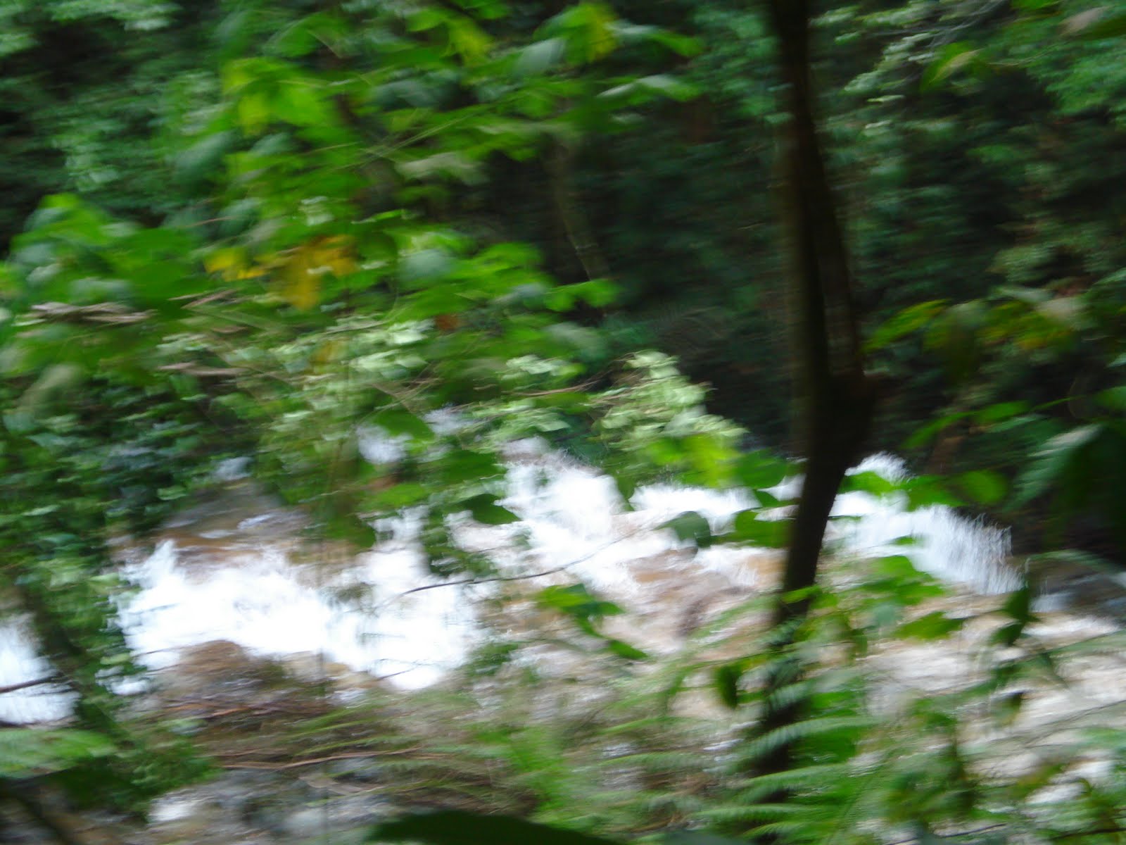 Travel Logs: Templer Park - Falls of Nature