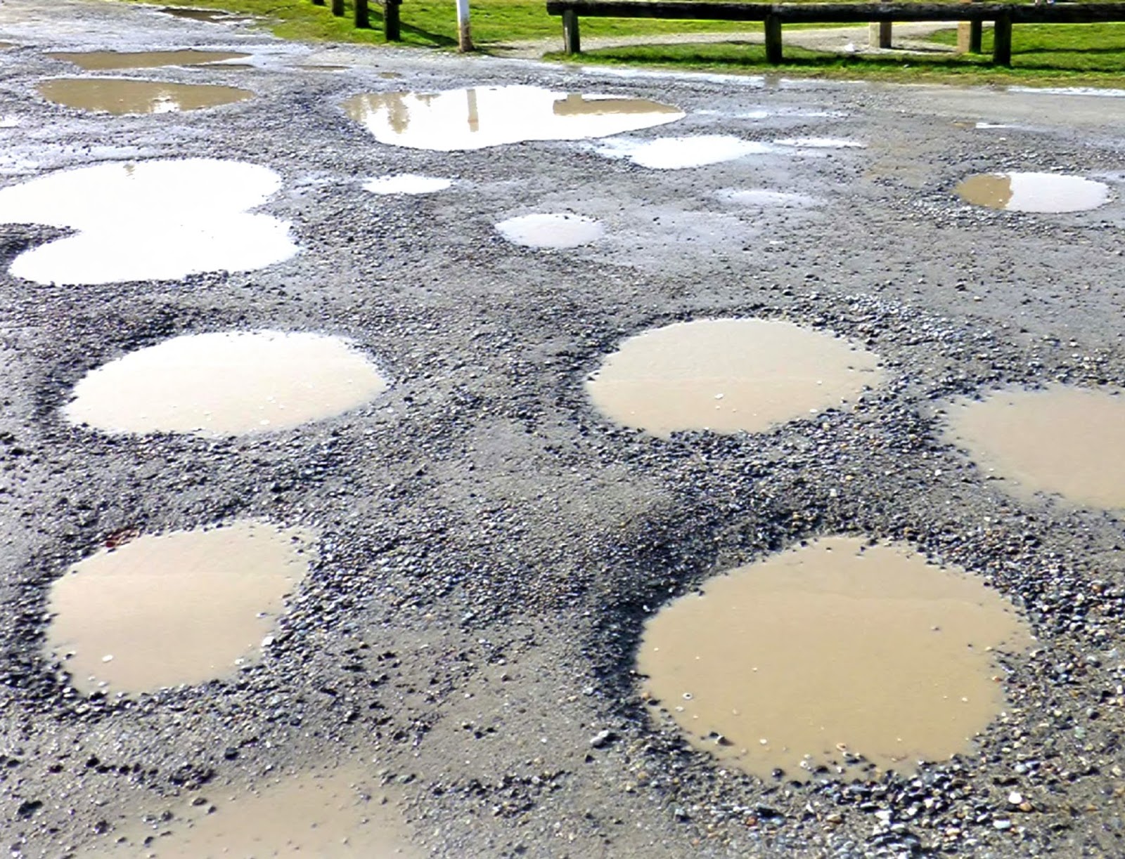 Sometimes All You Need Is A Good Puddle