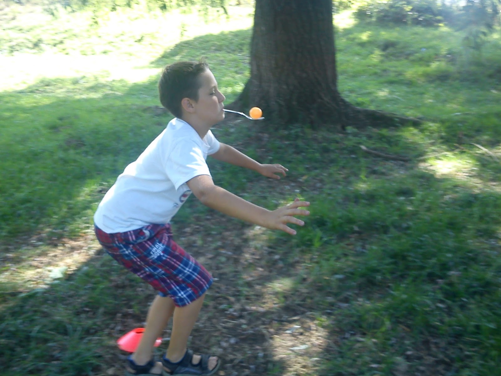 Jocuri pentru copii mari şi mici: 10 probe amuzante de Olimpiada