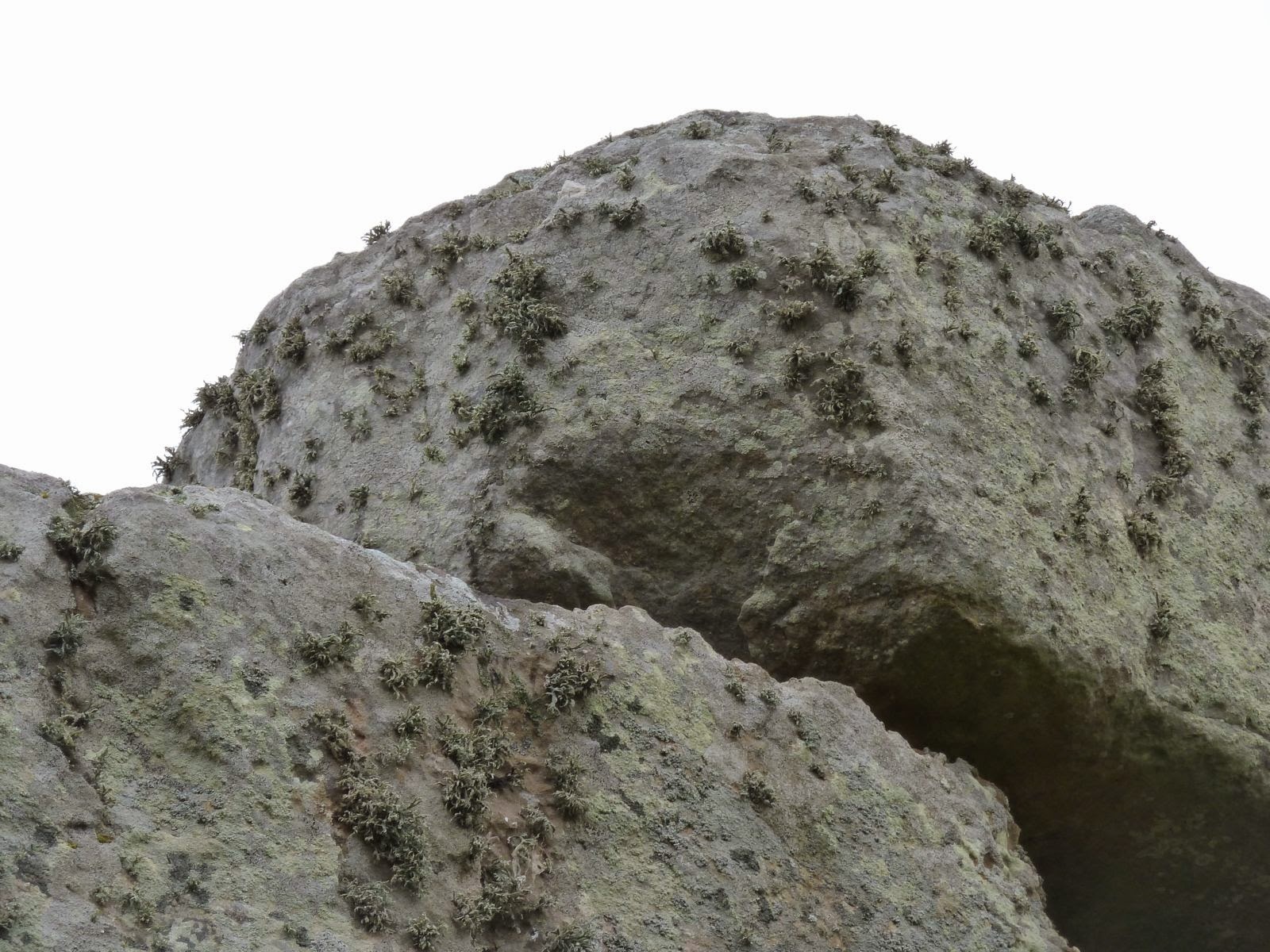 The Stones of Stonehenge: Stone 105