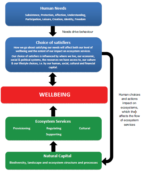 Indigenous Endurance: The Nature of Wellbeing: How ecosystem services ...