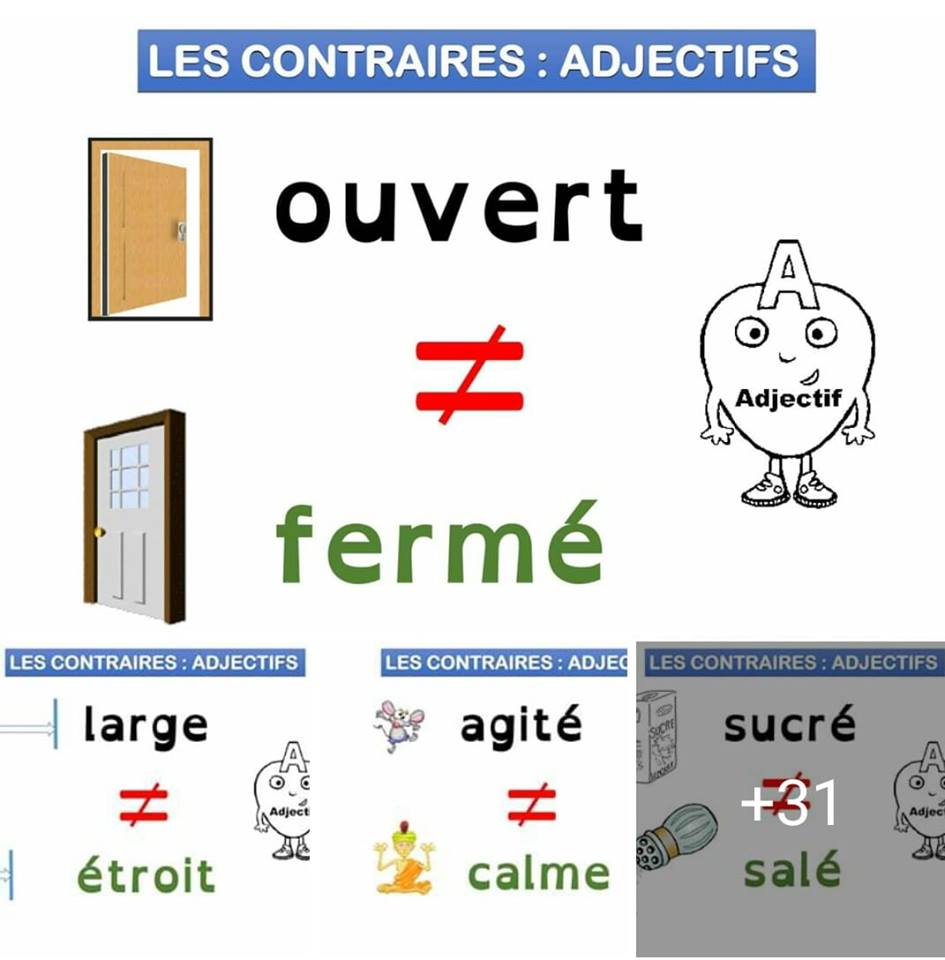 Les contraires : exemples d'adjectifs - verbes - préfixes télécharger ...