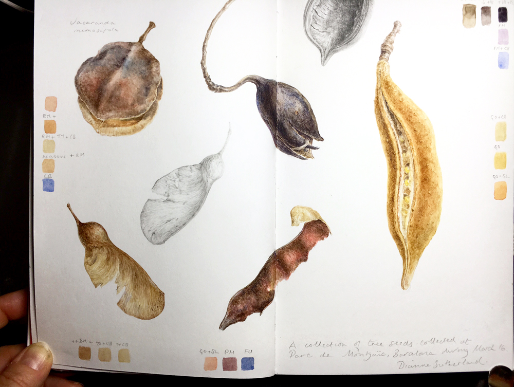 Dianne Sutherland: March 2016