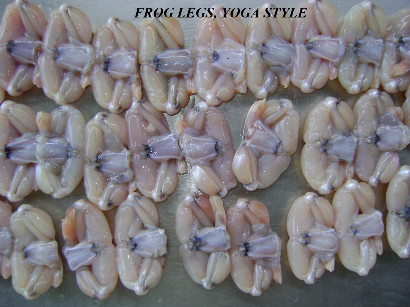 What Time Is The Peak Harvesting Season For Vietnamese Frog Legs?