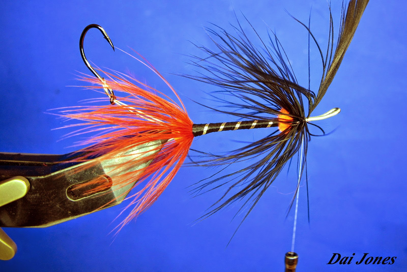 Flies step by step: Sewin ( sea trout) Night Intruder step by step.