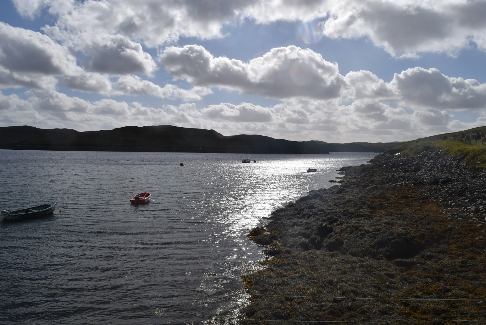 Scotland 2016 - A brief tale of our visit and our foody treats: An ...