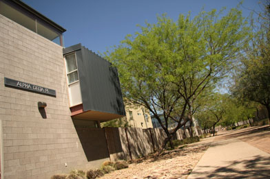 LUDAN WANG: Adelphi Commons II