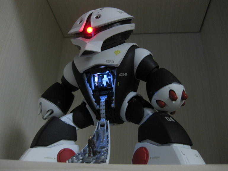 MG 1/100 Acguy with LED Unit