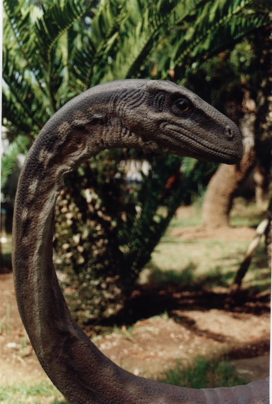 Gerhard Marx: Biography