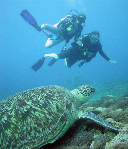 Rafauli Trip: DIVE in TANJUNG BIRA (BULUKUMBA - MAKASSAR)