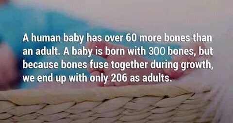 Knowledge Encyclopedia: When human baby born