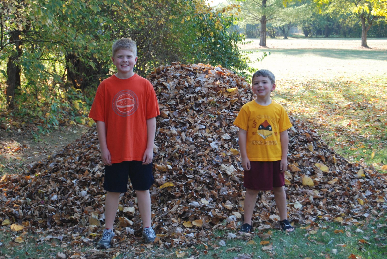 a blonde and 3 boys: Biggest Leaf Pile..EVER!