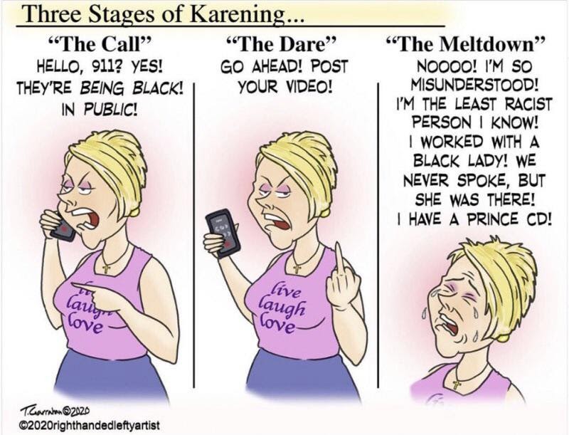 It’s picture perfect (Cartoon) - YourDestinationNow