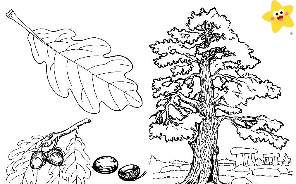 Coloring book pdf download