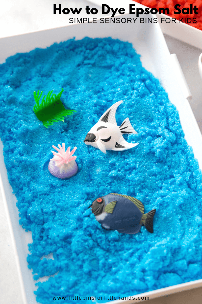20 Super Amazing Sensory Bins Little Kids Will Love