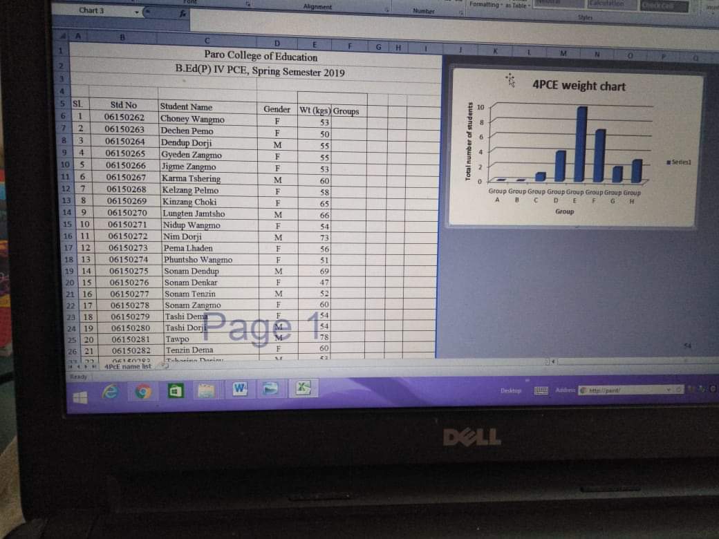 Dechen Pemo's Journal