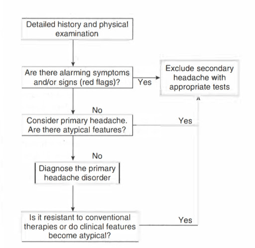 What Common Occurrence Cause The Most Headache