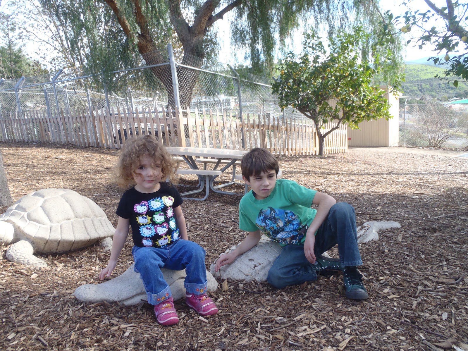 Jet Set Mom: America's Teaching Zoo