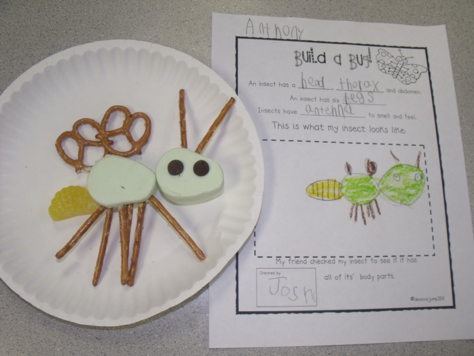 BYE Bye Insects - Mrs. Jump's Class